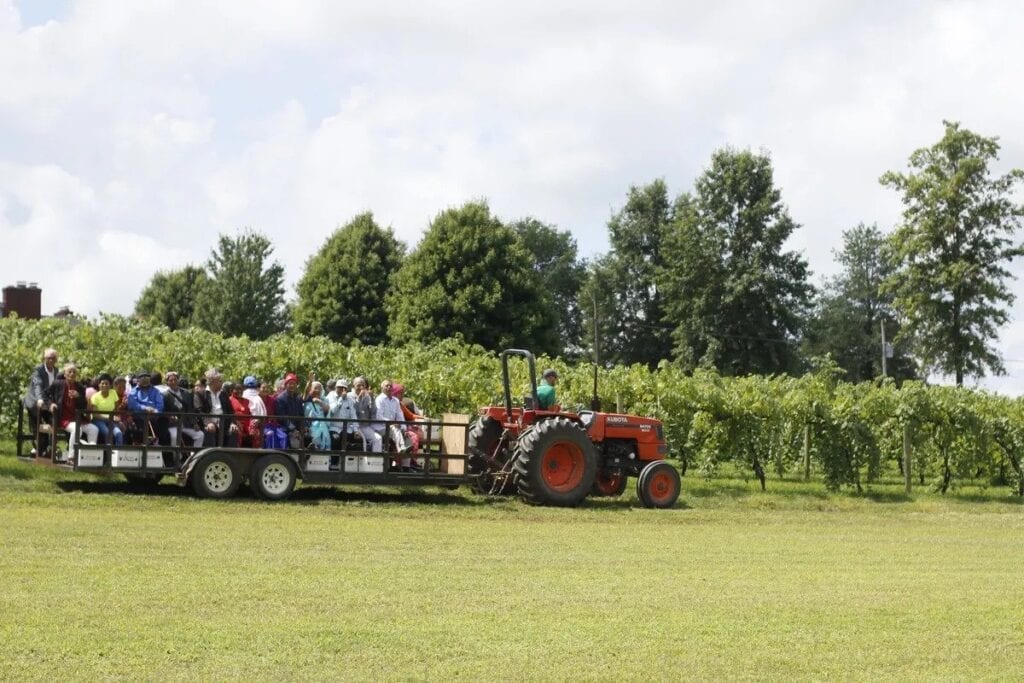 Homepage - Freedom Senior Services • Louisville, KY