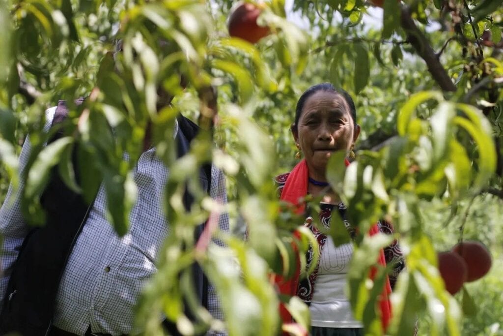 Homepage - Freedom Senior Services • Louisville, KY